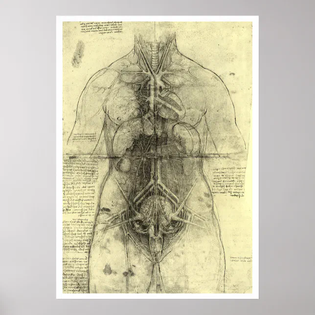 Desenhos De Anatomia De Leonardo Da Vinci Da Vinci: Mais De 174.859